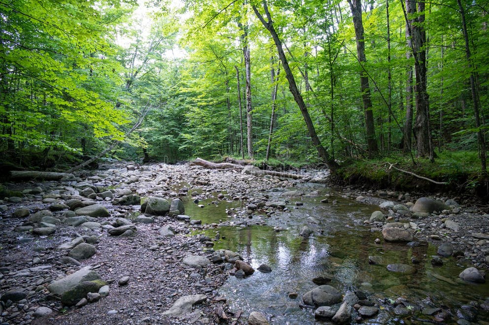 Landscape of a River in the Woods. Stock Image - Image of landscape ...
