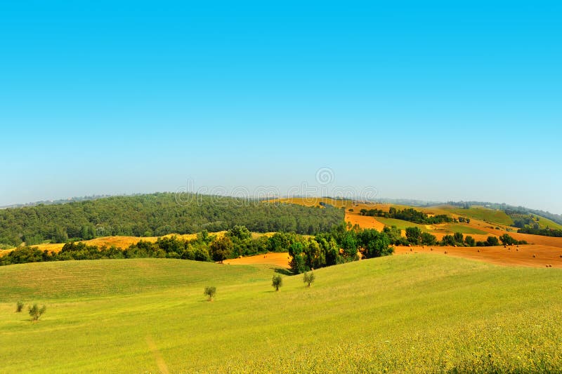 Landscape stock image. Image of bail, forest, italian - 35724649