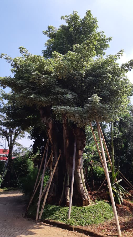 Landscape Jakarta stock image. Image of tropical, landscape - 133872843