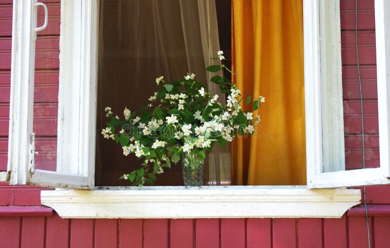 Landscape stock photo. Image of beautiful, spring, jasmine - 49821060