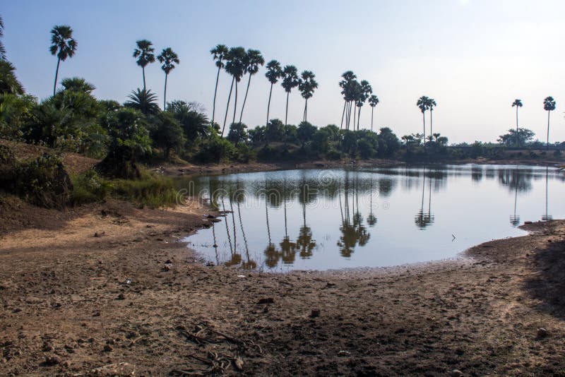 Landscape at Jharkhand India Stock Photo - Image of treescape ...