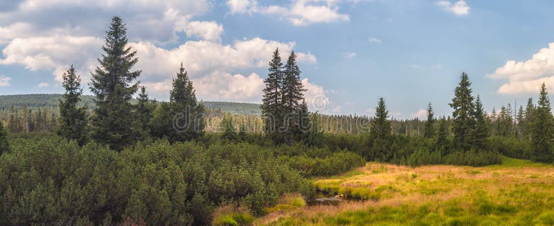 Landscape - Jizerky Bog, Czech Republic Stock Image - Image of dwarf ...