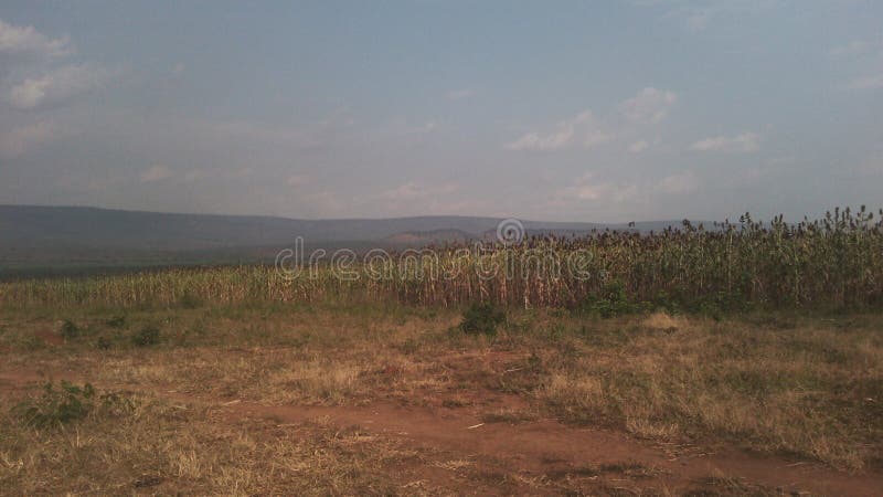 Landscape editorial photo. Image of kagera, tree, landscape - 72447966