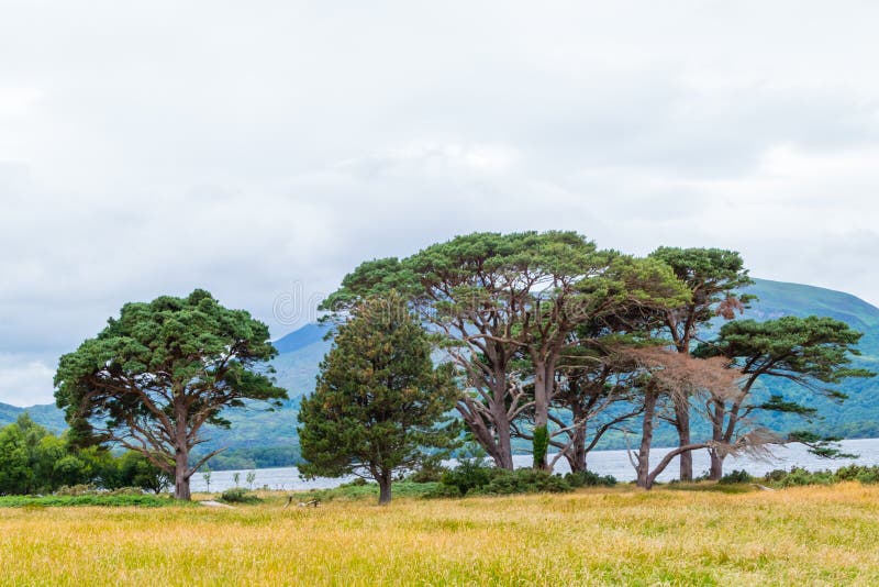 Landscape Killarney National Park Stock Photo - Image of calendar ...