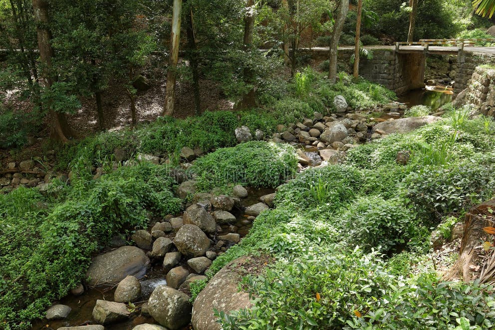 Landscape in the Knuckles Range at Kandy in Sri Lanka Stock Photo ...