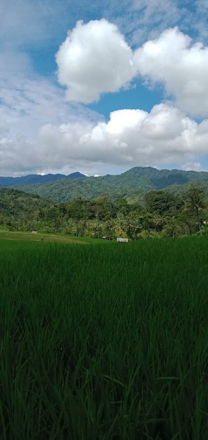 Landscape Kuningan Indonesia Stock Image - Image of paradise, landscape ...