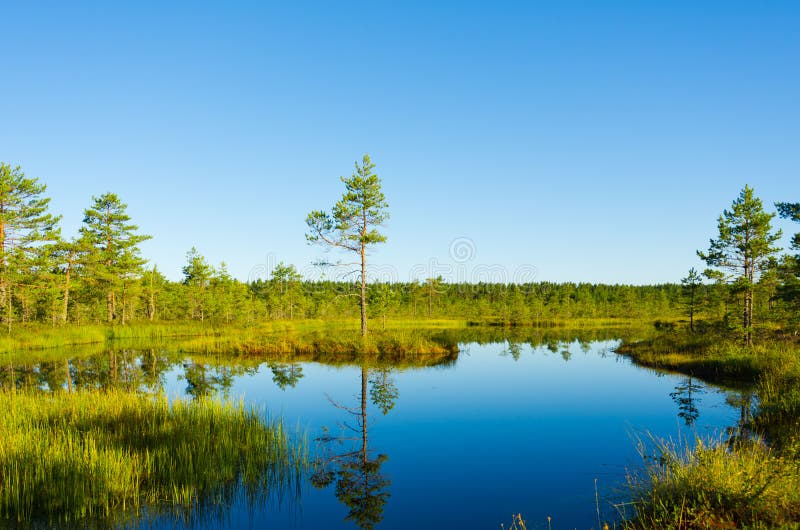 Landscape stock image. Image of estonia, environment - 33169205