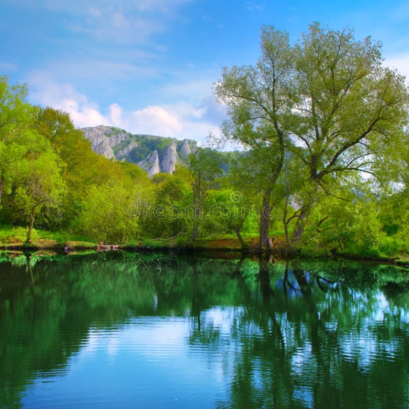 Landscape with lake stock image. Image of green, lake - 8039797