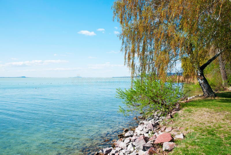 Landscape of Lake Balaton stock photo. Image of green - 24306650