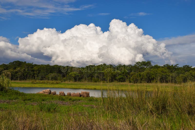 Chivero National Park Stock Photos - Free & Royalty-Free Stock Photos ...