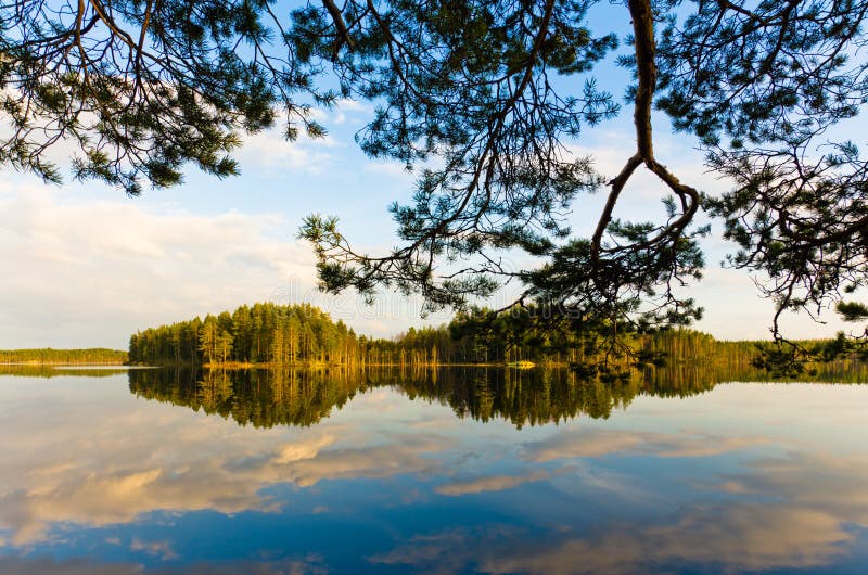 Finland: Spring by a Calm Lake Stock Photo - Image of calm, trees: 34519506