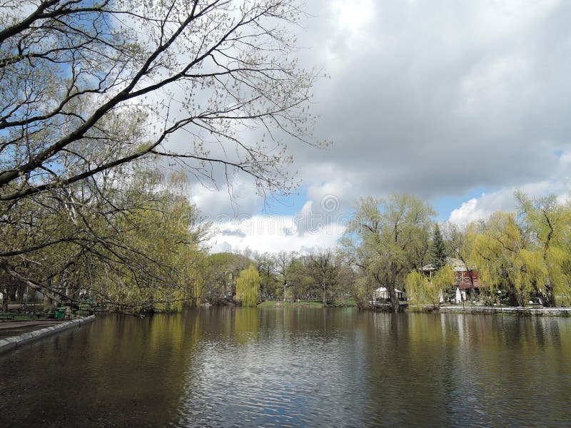 Landscape. the Lake in the Park in Spring Stock Image - Image of ...