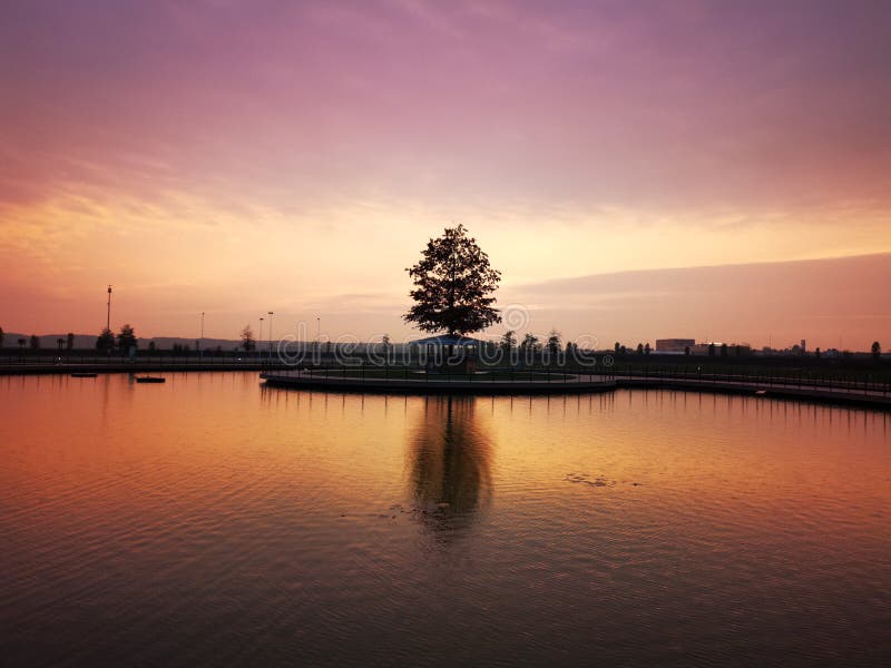 Landscape on the Lake at Sunset - Tree Stock Image - Image of view ...