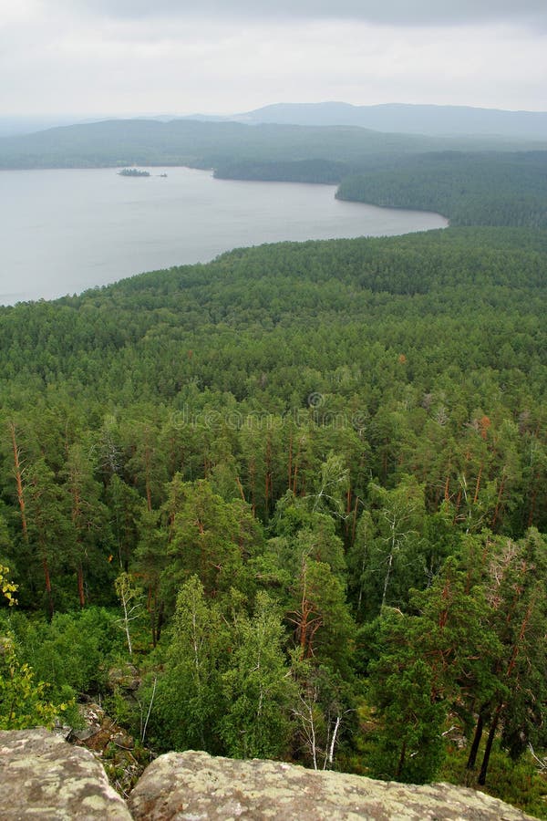 Row of Colorful Spring Trees Stock Image - Image of lining, leafy: 14298047