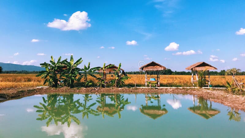 Landscape. stock photo. Image of lake, water, countryside - 132149248
