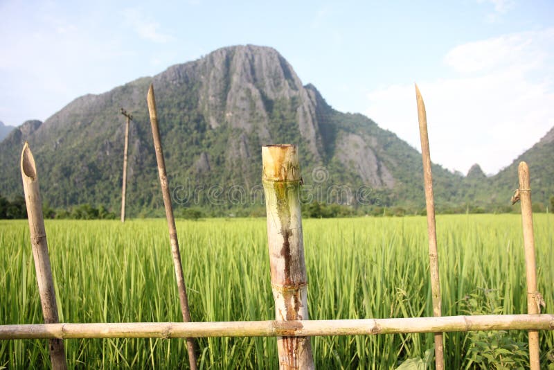Landscape Laos stock image. Image of rice, landscape - 83684505