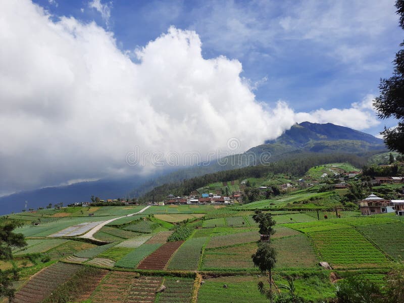 Landscape of Lawu Mountain with Terracing Fields Stock Image - Image of ...