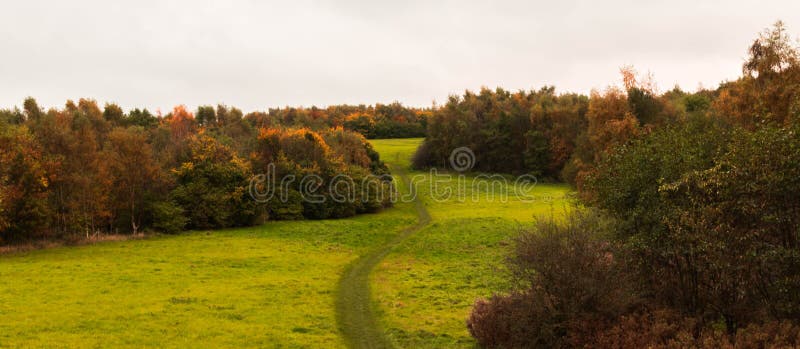 Landscape in Leeds Great Britain Stock Image - Image of tree, season ...