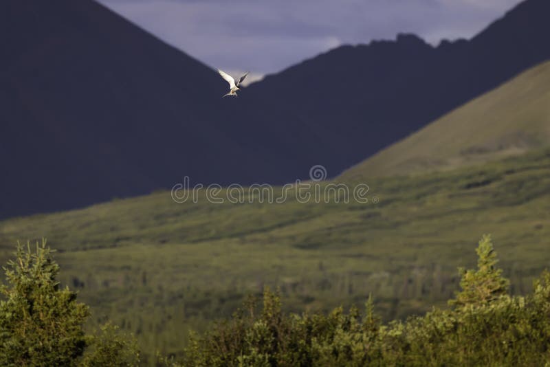 Landscape Light and Shadows High Contrast Create Dramatic Scenery in ...
