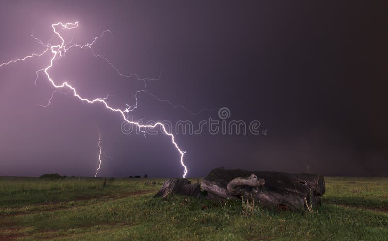 Landscape with Lightning Striking Behind Dead Tree Trunk Stock Photo ...