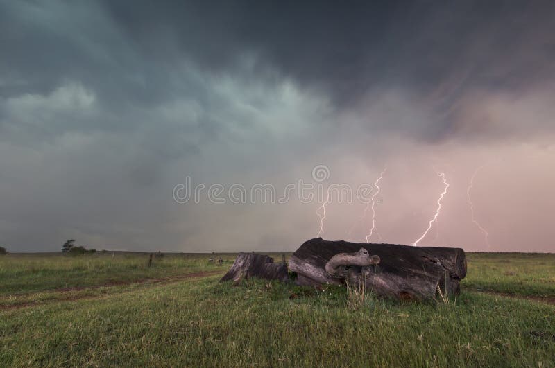 Landscape with Lightning Striking Behind Dead Tree Trunk Stock Photo ...