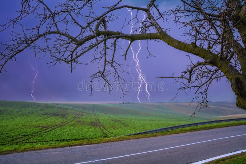 8,548 Lightning Tree Stock Photos - Free & Royalty-Free Stock Photos ...