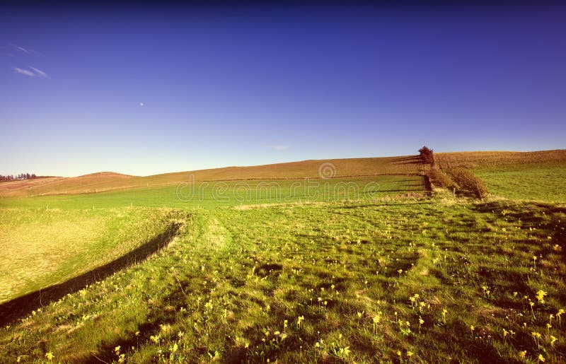Landscape in Denmark stock image. Image of nature, blue - 196345447