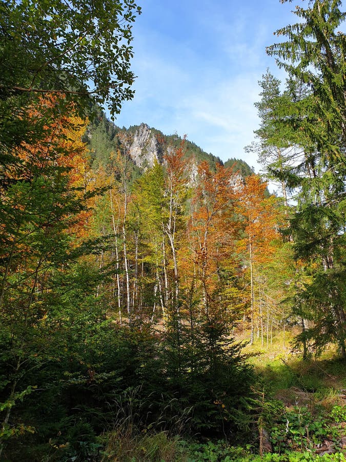 Landscape of Logar Valley - Yellow and Green Trees and Mountains in ...