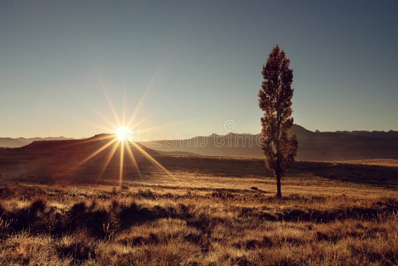 Landscape with a Lone Tree and the Sun Rising Behind Over Mountains ...