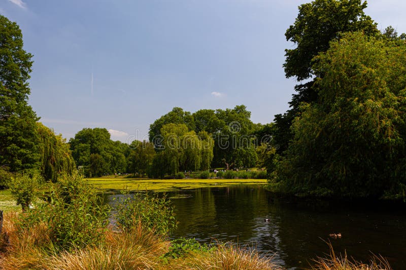 Landscape of the Long Water in Hyde Park, London Stock Image - Image of ...