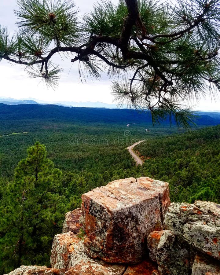 Landscape stock image. Image of outlook, greenery, arizona - 106239267