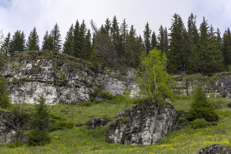 Limestone Cliffs on the Slope of the Forest Valley Stock Image - Image ...