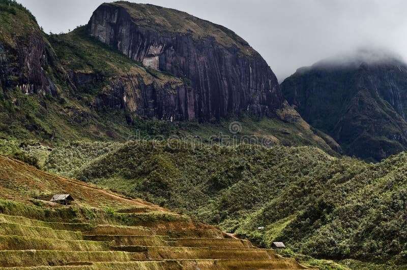 Landscape of Madagascar stock photo. Image of vegetation - 8038640