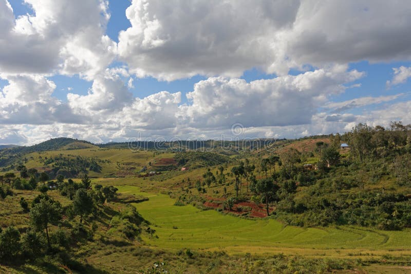 Landscape of Madagascar stock photo. Image of rice, ground - 42453738