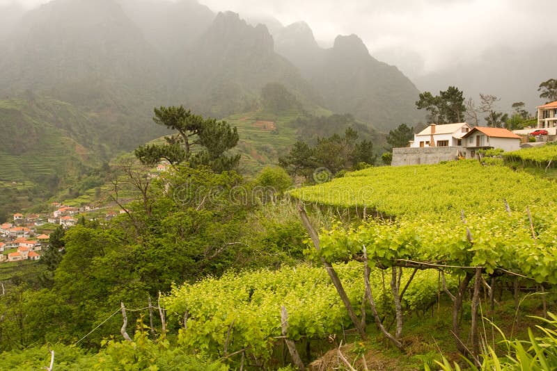 Landscape of Madeira stock photo. Image of nature, landscape - 9678118
