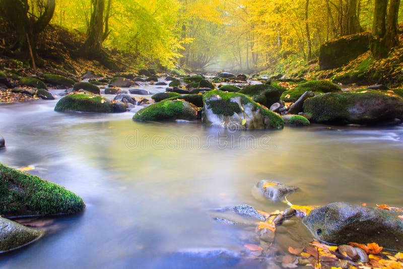 Landscape Magic River in Autumn. Stock Image - Image of beautiful ...