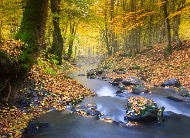 Landscape Magic River in Autumn Forest. Stock Image - Image of ...