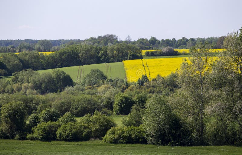 Landscape with Many Trees and Fields of with Blue Sky in Spring Stock ...