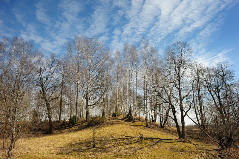 Landscape in March stock photo. Image of rustic, forest - 12525308