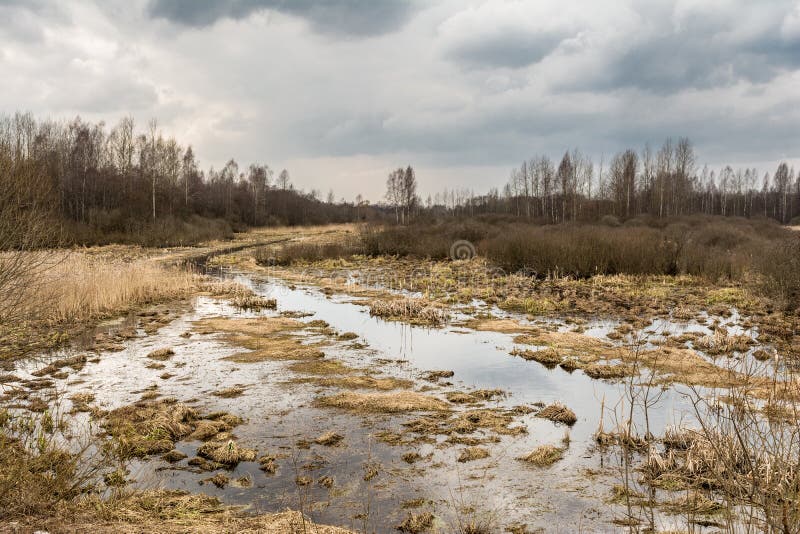 Landscape of Marshland with a Leaf Bare Tree Silhouetted Against a ...