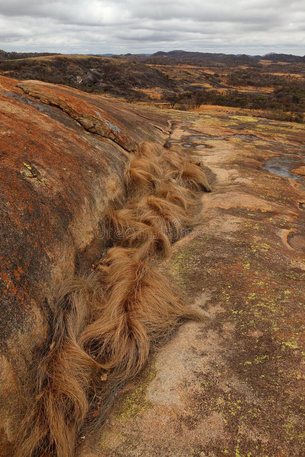 Landscape of the Matopo National Park in Zimbabwe Stock Image - Image ...