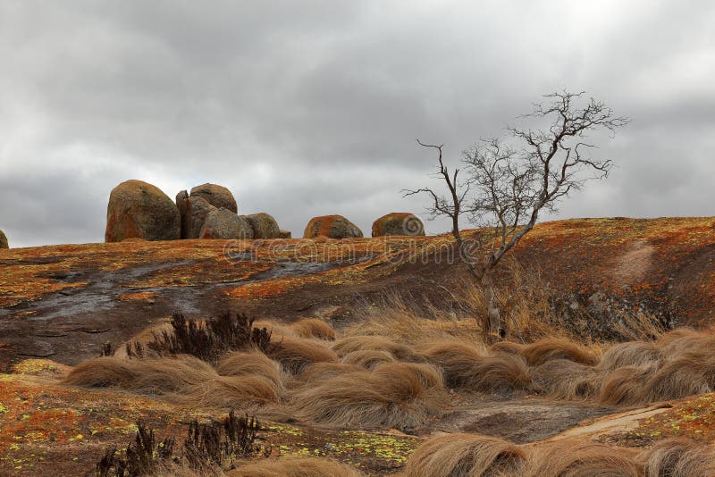 Landscape of the Matopo National Park in Zimbabwe Stock Photo - Image ...