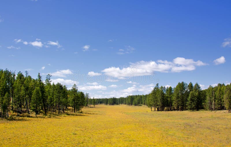 Landscape with Meadow and Forest in the Autumn Stock Image - Image of ...