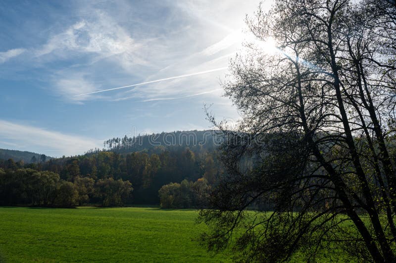 Landscape with Meadow, Forest and a Tree in the Foreground Stock Photo ...