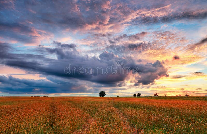 Sunset in the countryside stock image. Image of sunset - 242849429