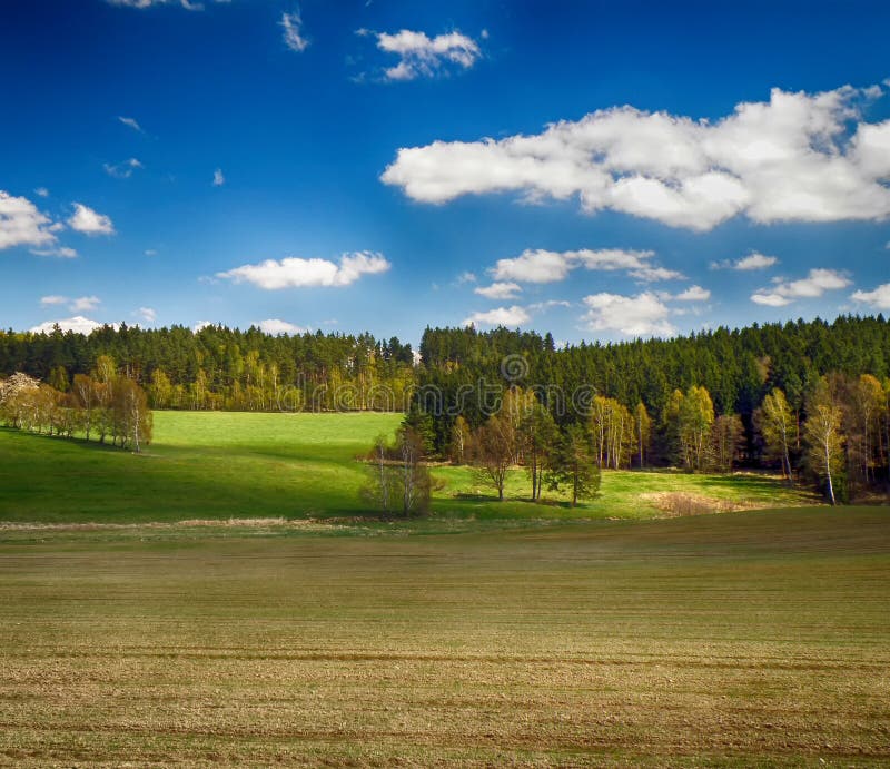 Landscape with Meadows and Trees Stock Image - Image of fantastic ...
