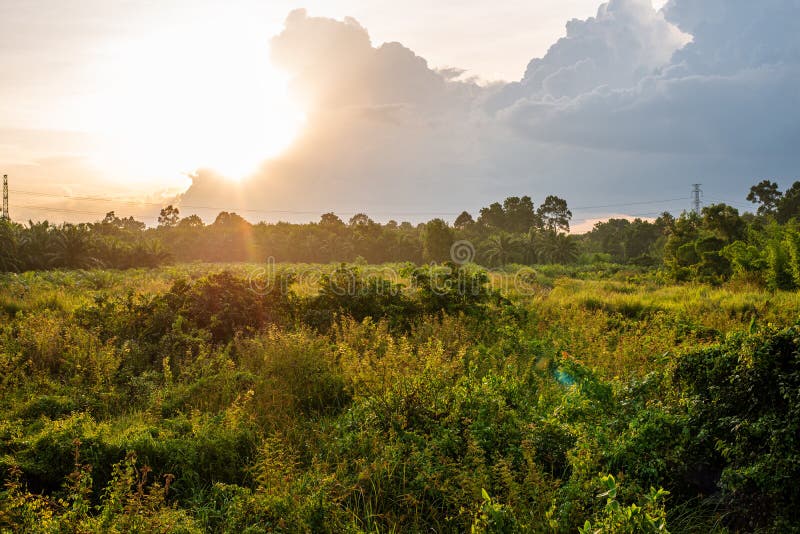 Landscape Meadows View with Sky and White Cloud Stock Image - Image of ...