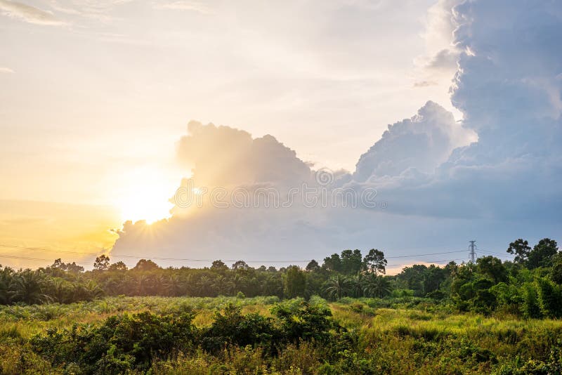 Landscape Meadows View with Sky and White Cloud Stock Image - Image of ...