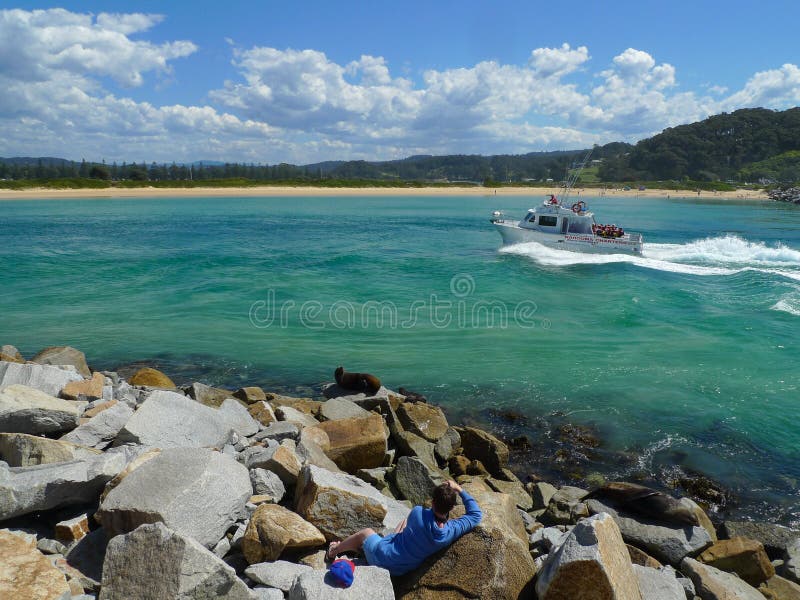 The Landscape in Merimbula,australia Editorial Photo - Image of travel ...
