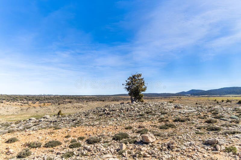 Landscape in the Middle Atlas, Azrou, Morocco. Stock Image - Image of ...